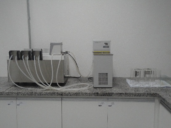 ENSAIO DE FOGGING - POLYPACK